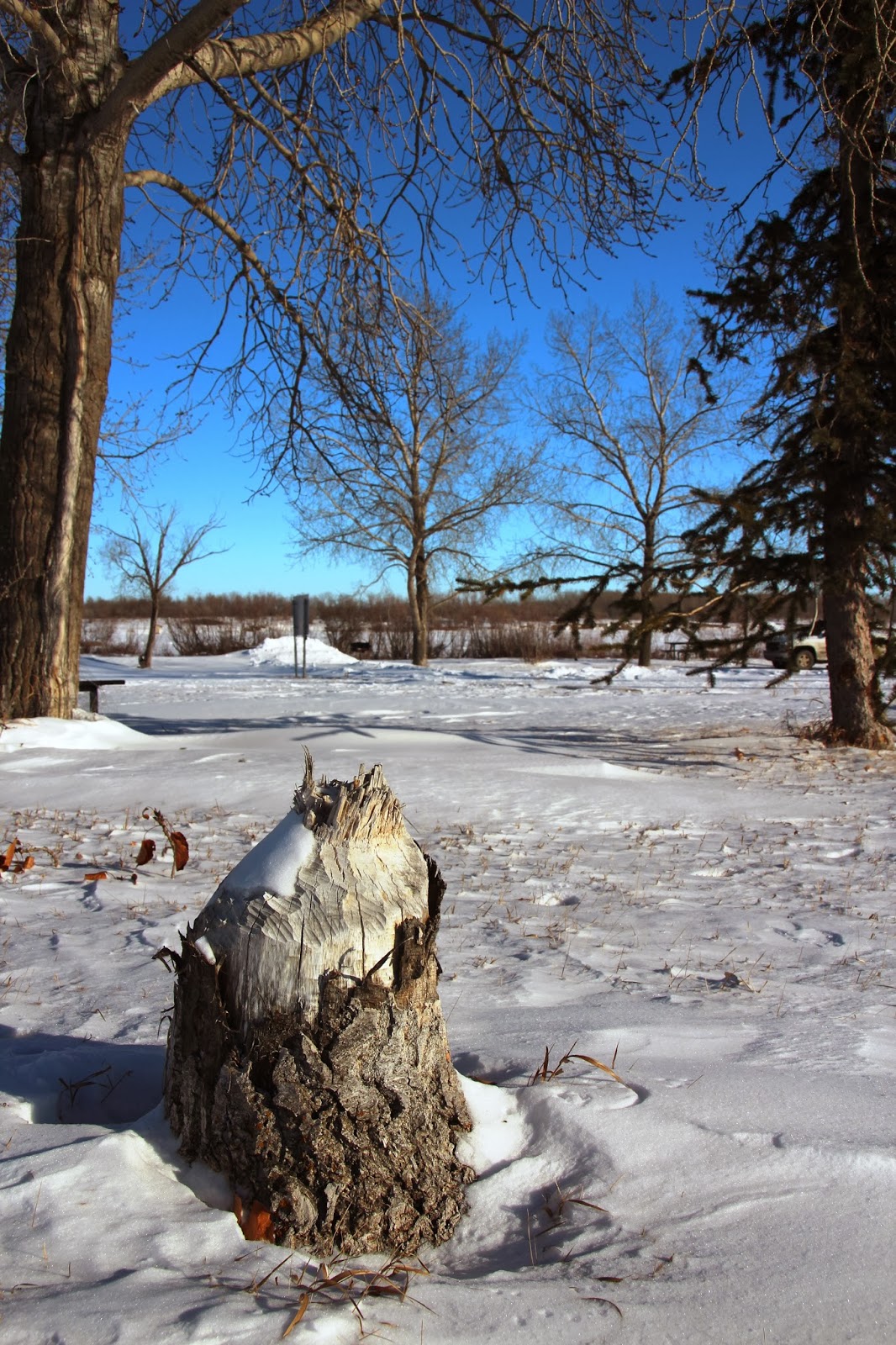 Get Me Outdoors: Condie Nature Refuge