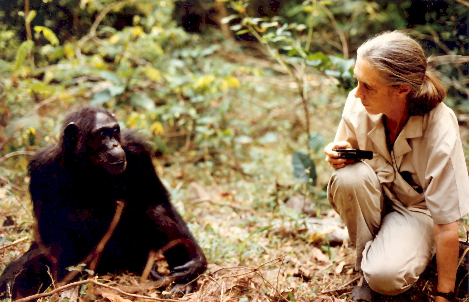 I Was Here.: Jane Goodall