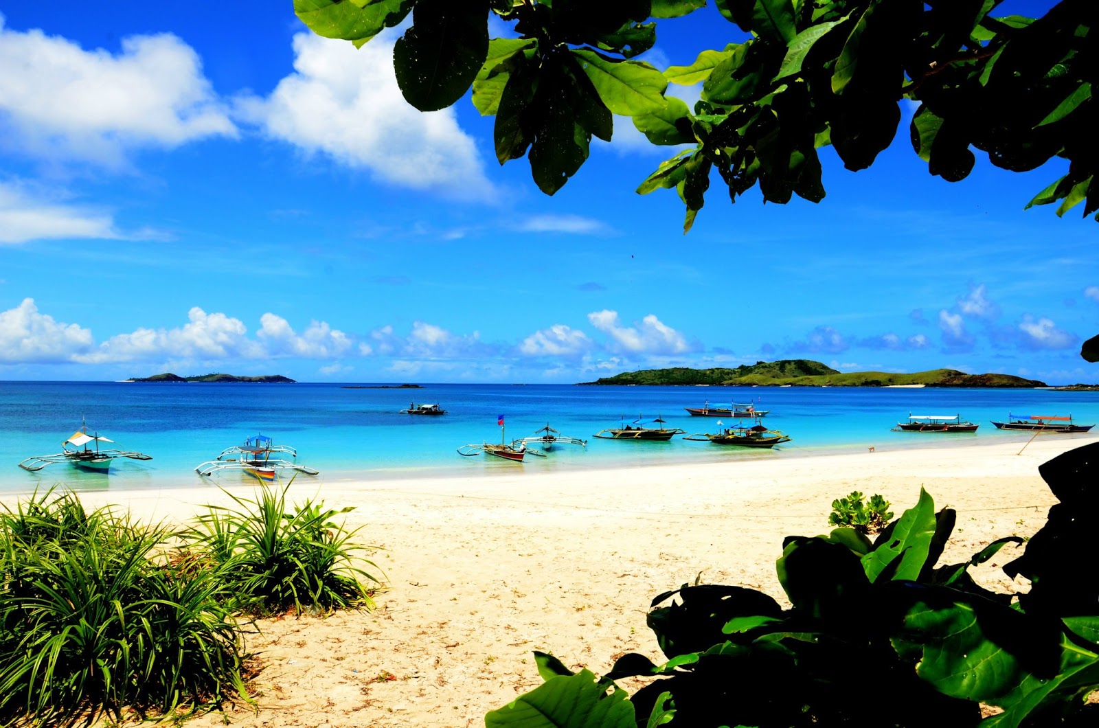 paralamierda : CAMARINES NORTE: Calaguas Island