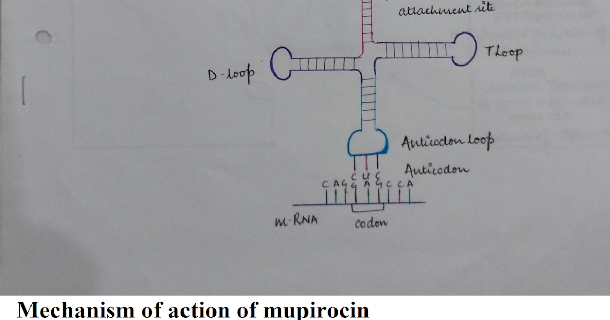 Pharmacology of Drugs: Mupirocin