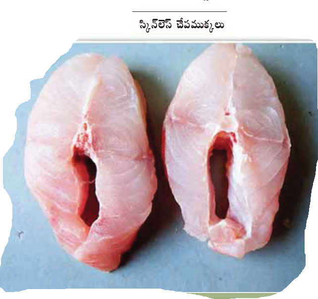 TELUGU WEB WORLD: fish - dry fish - skin less fish - bone less fish ...