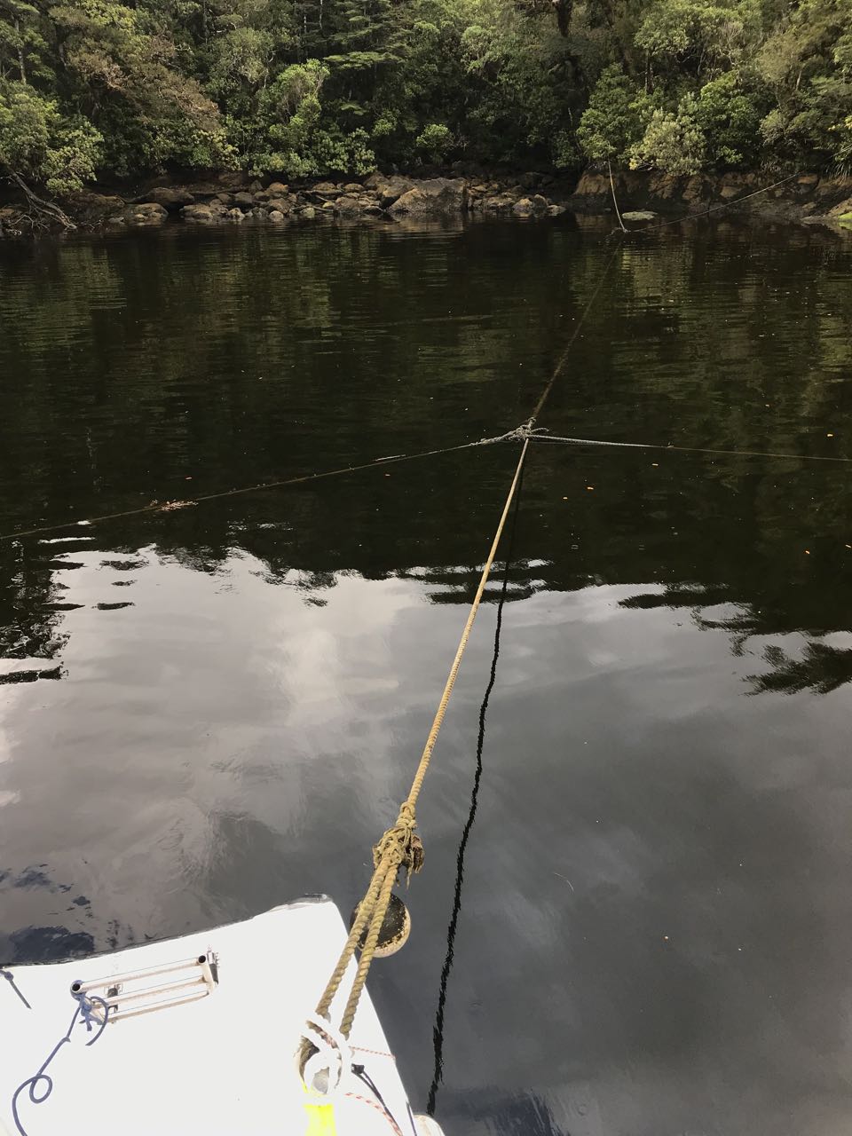 SV Footprint (Begonia): George Sound (Fiordland)