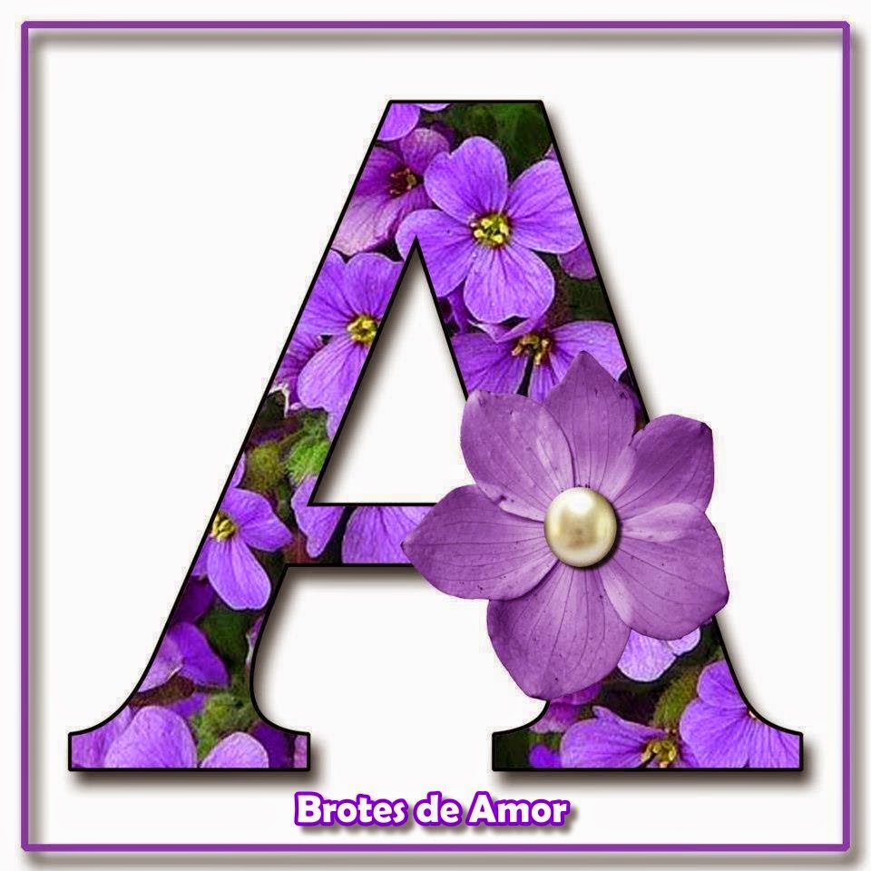 Brotes de Amor: Abecedario en hermosas violetas