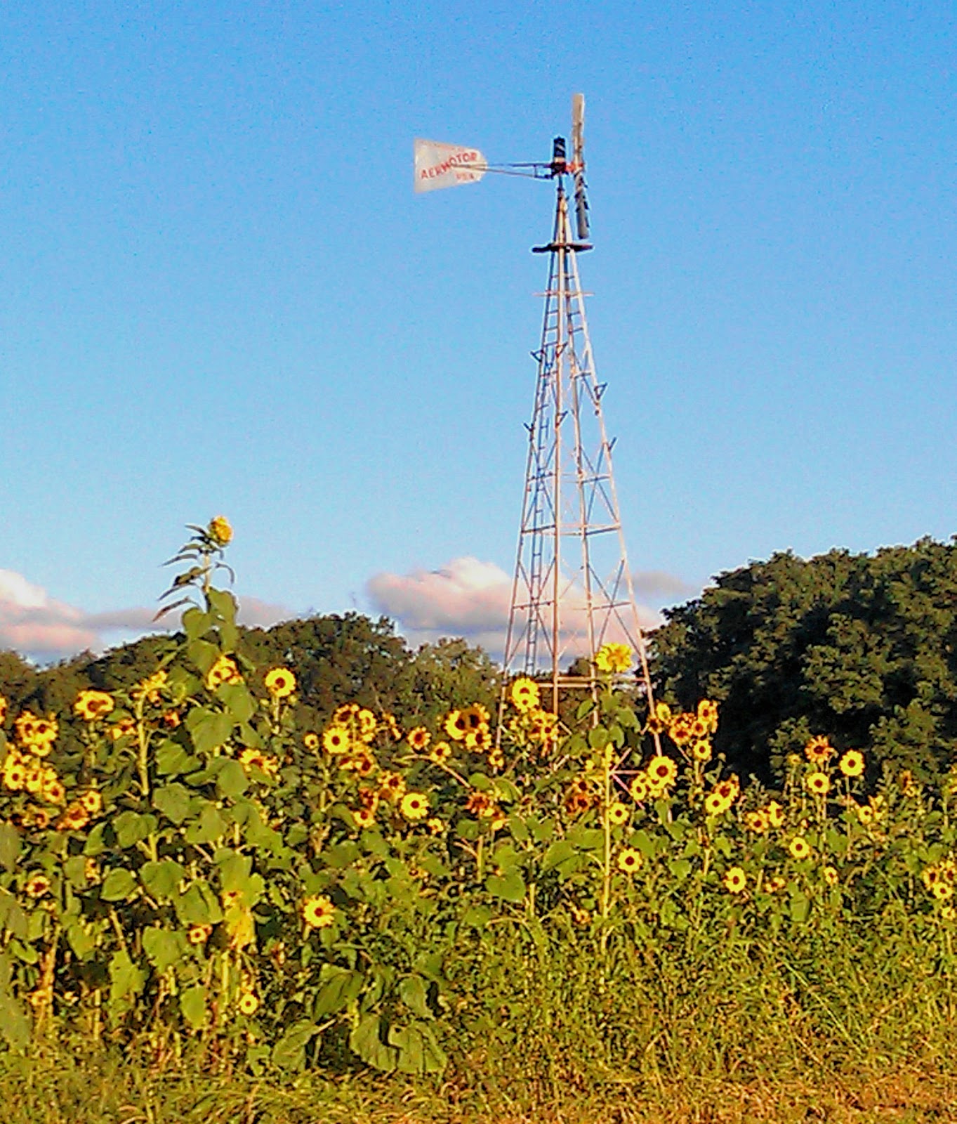 Hoosier Safari: Indiana Farm