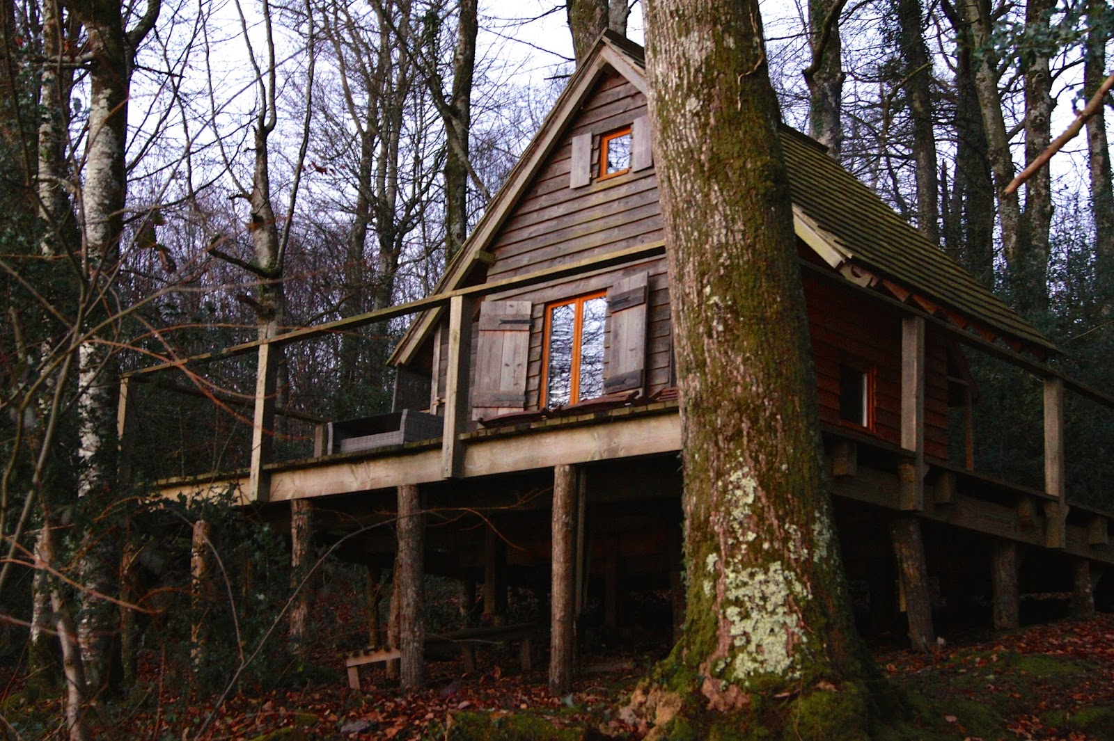 Une cabane en forêt - Louise Madelaine