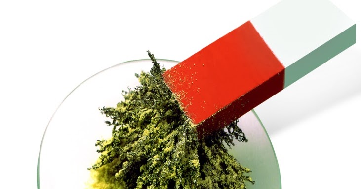 Práctica 2 Laboratorio 2ªEV: La imantación o separación magnética ...