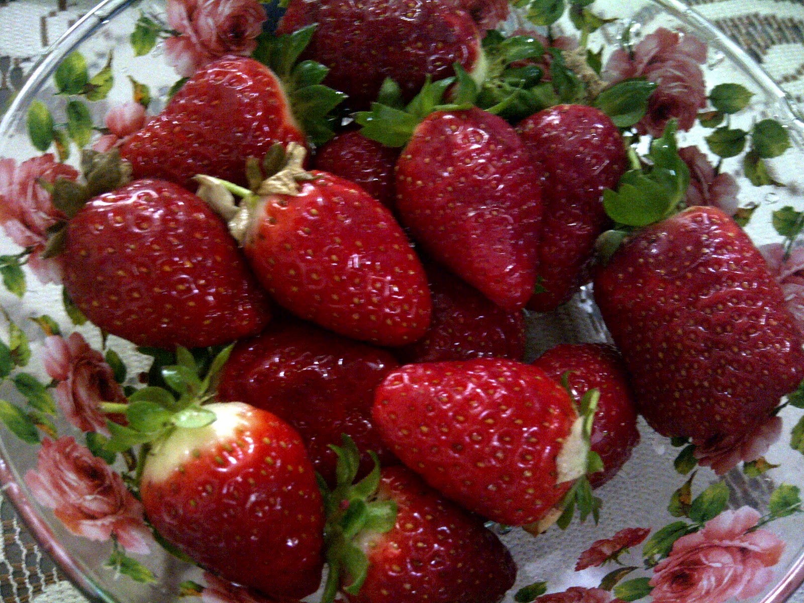 Diary of OTOMAN FAMILIA 1: Stoberi OWH Stoberi oiii....