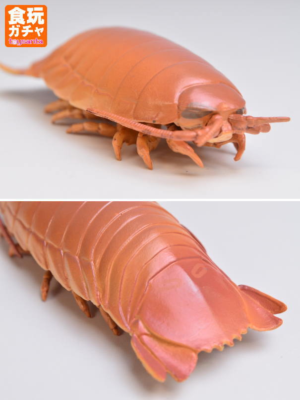 collectiontoy: Nature Techni Colour MONO Plus Giant Isopod & Isopod ...