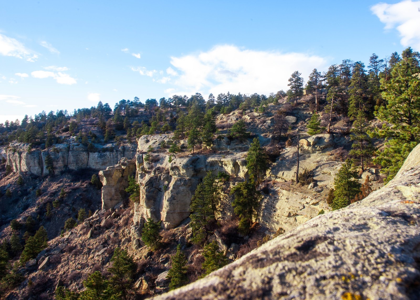 Danny Benzel Nature and Conservation Photography