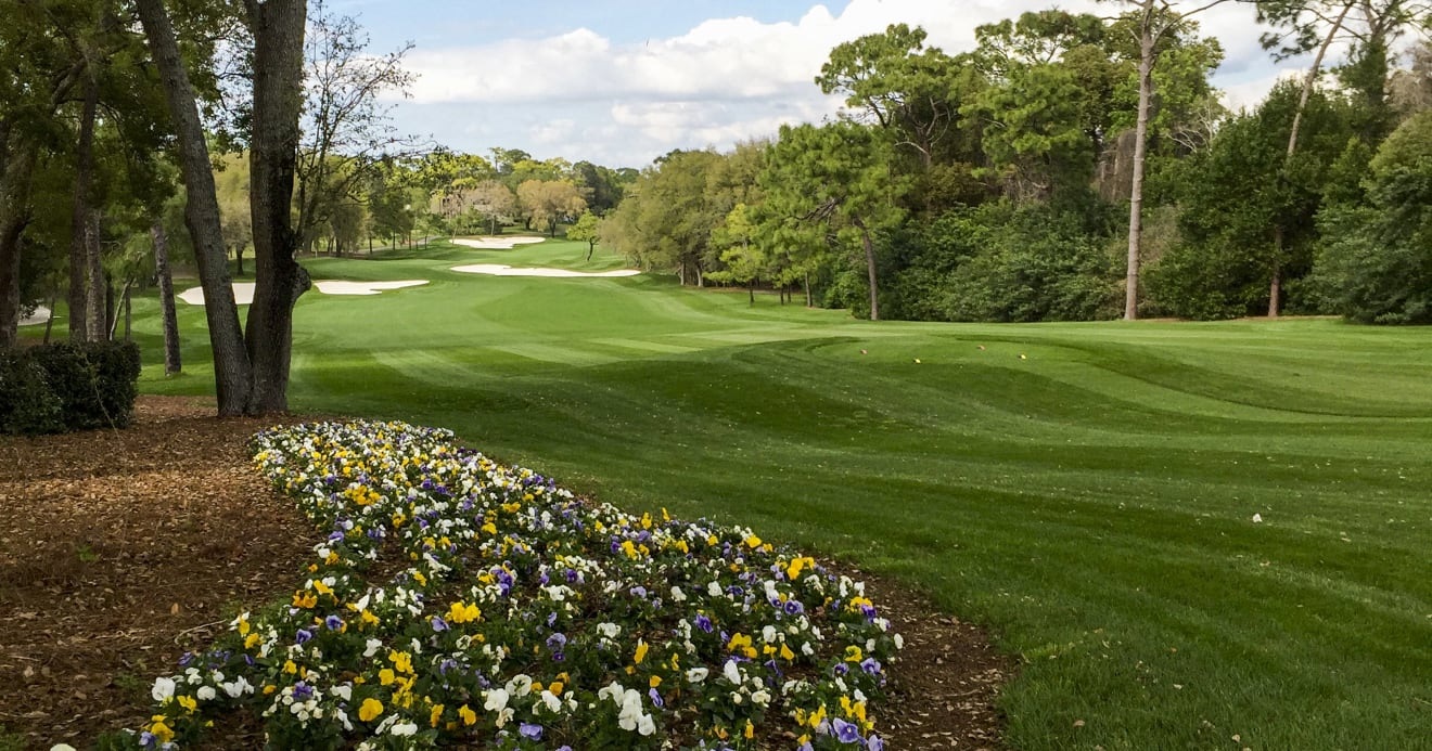 The #1 Writer in Golf: The Valspar Championship: Inside the Course ...