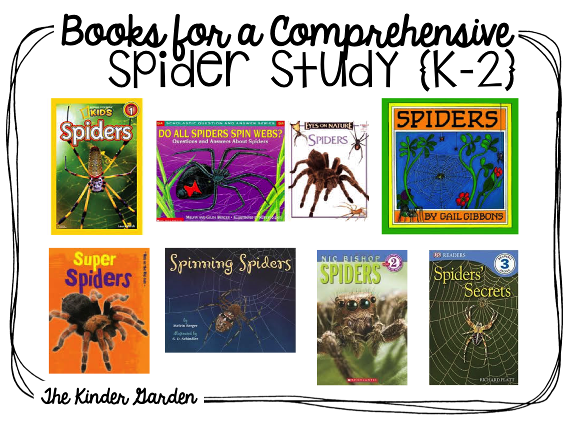 The Kinder Garden: Spider Study!