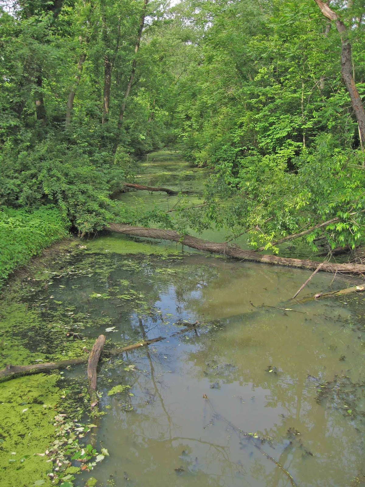 La Lair On Wheels: Cumberland, Maryland, Meeting Place for Hikers and ...