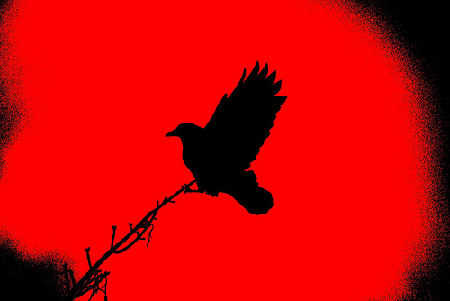 gypsywomanworld: October 2011