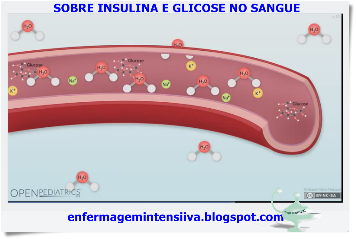 Enfermagem atualizada...: SOBRE INSULINA E GLICOSE NO SANGUE