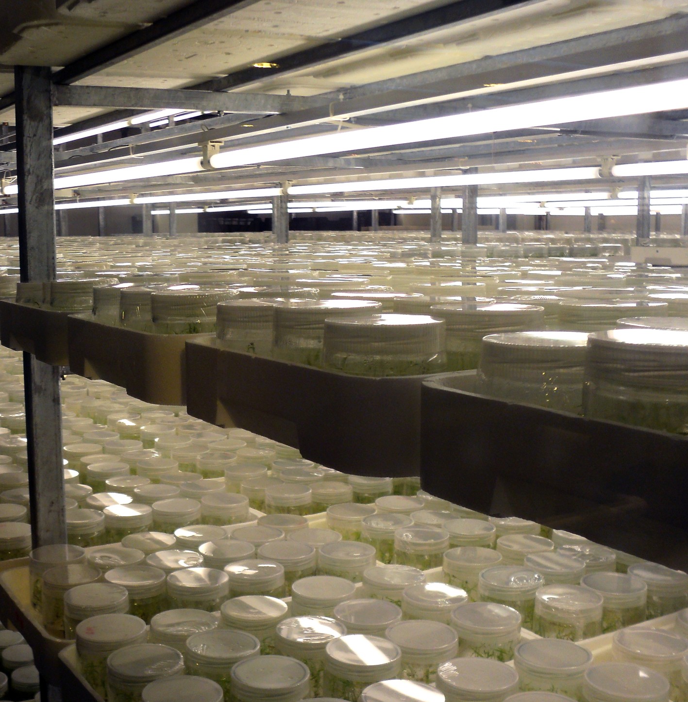 CFAA 47: 6 apprentis agricoles en Flandre du 18/02 au 10/03/2012: Au ...