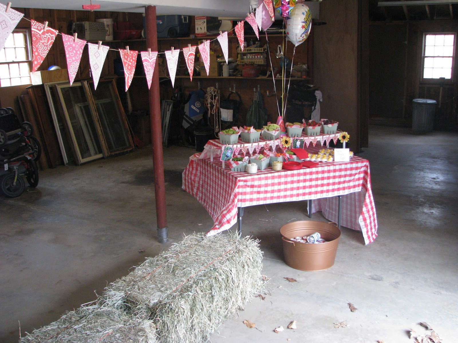Our Small Farm in the Woods: Farm Girl Birthday Party!