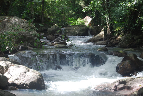 OLANCHITO CULTURA Y SOCIEDAD: Fotos Olanchito, Yoro