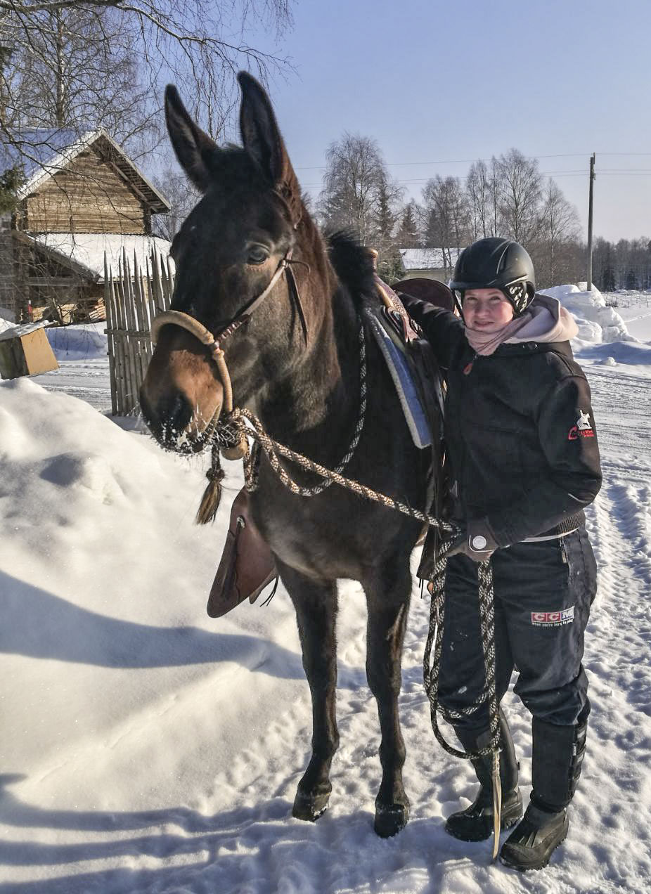 Muuliprojekti: Muulin seitsemäs viikko koulutuksessa (ensimmäiset ...