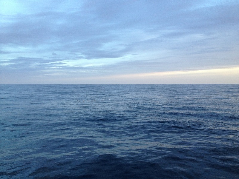 UK Shelf Sea Biogeochemistry Blog: Calm Seas