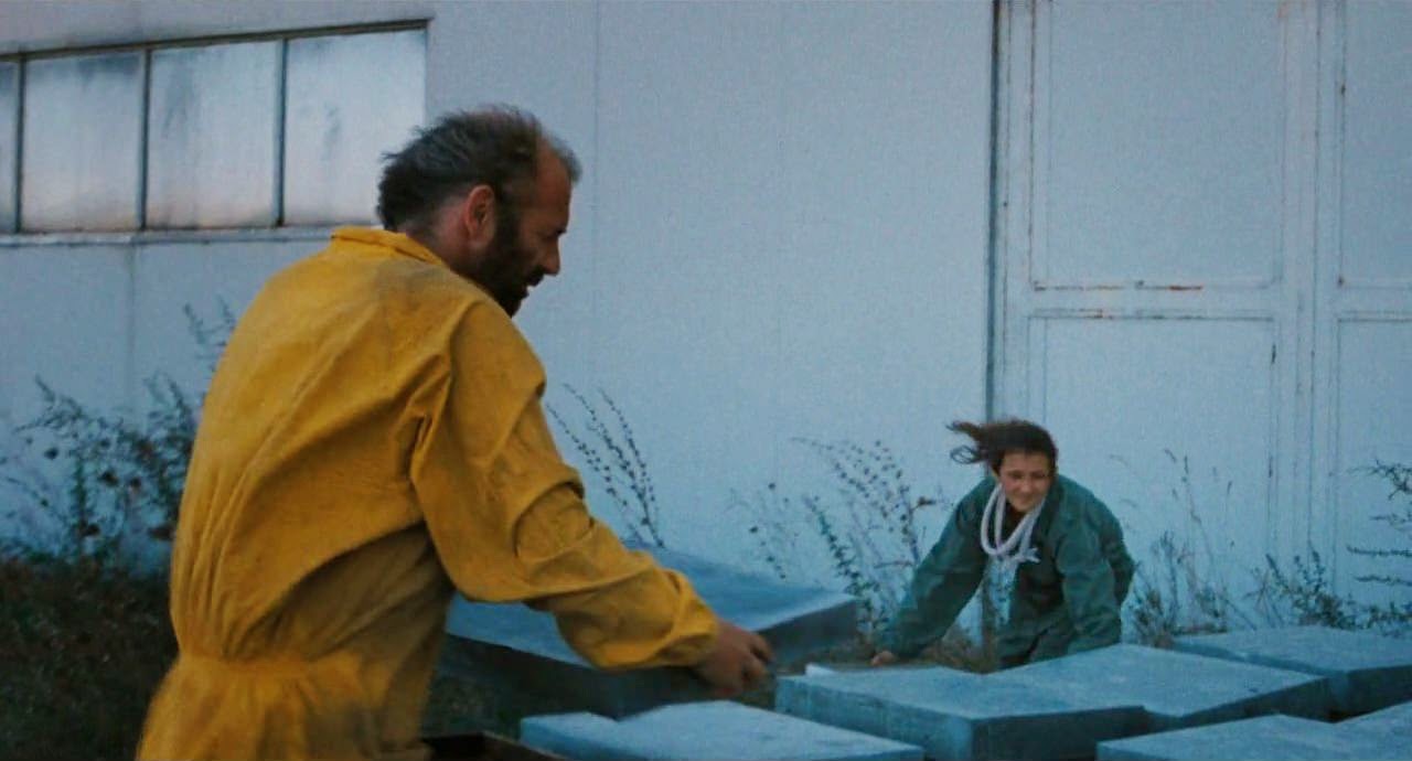 Le Meraviglie 2014 The Wonders