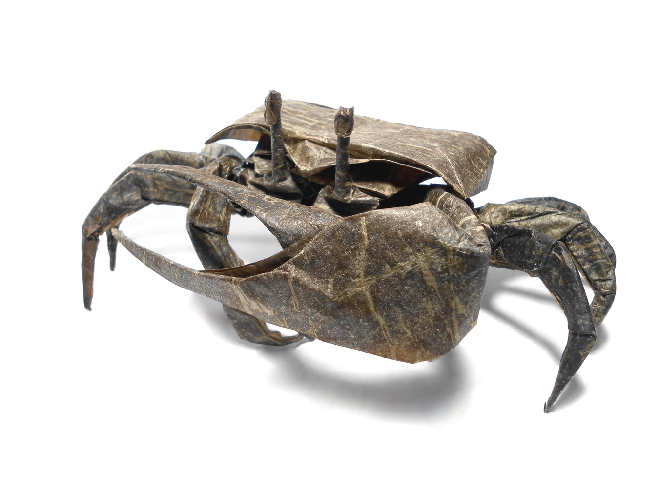 Mariano-Mi mundo el Origami: Fiddler Crab