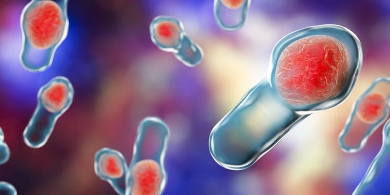 30 mejores dibujos e imágenes del Reino Monera - Importante para ...