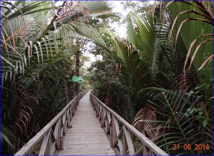 Travelogues in Hindi : Dhani Nallah- Longest bench walk way of india in ...