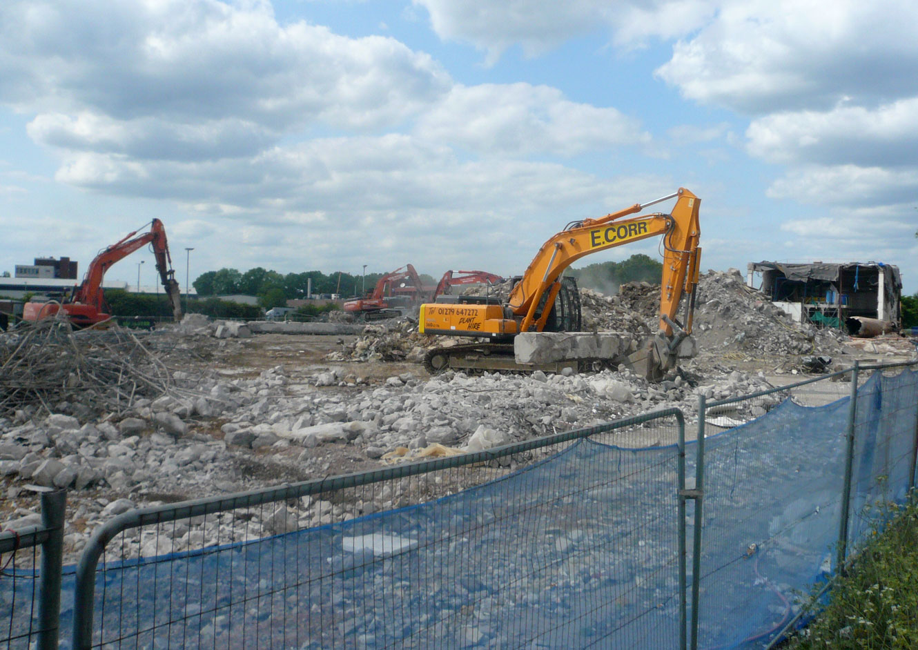 Running Matters: 2011 Streak Day 139: Diggers in their natural habitat