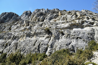 Mendiko osterak: Arnaba zirkularra Gastiain herritik