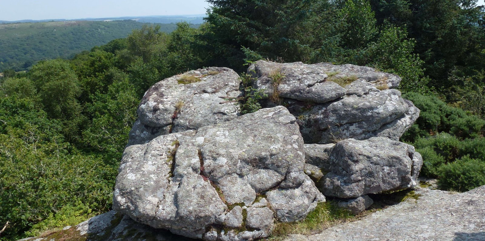 My Dartmoor Walks: Thursday 26th July Manaton Rocks