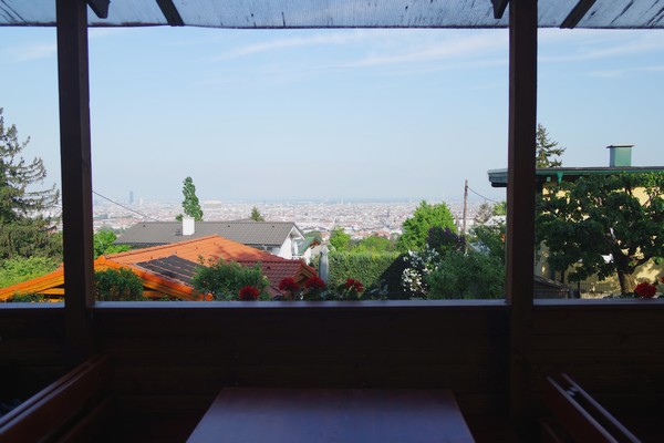 La culture du vin à Vienne : de la vigne aux Heuriger