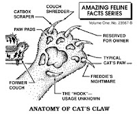 In-Sync Exotics' Cat Tales: Let's Pause for the Cat's Paw!