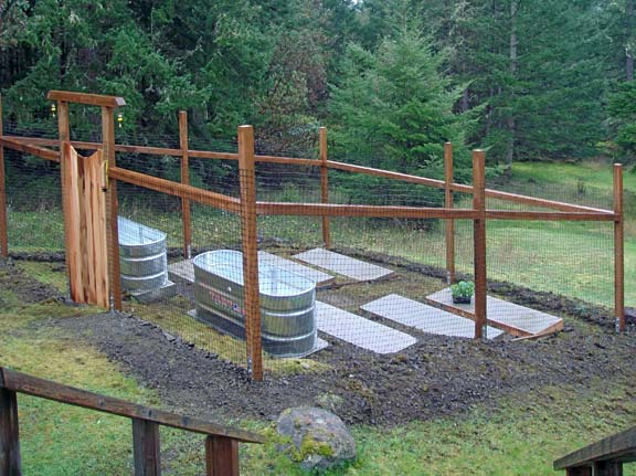 Rain Barrel Garden: Horse Trough Gardening