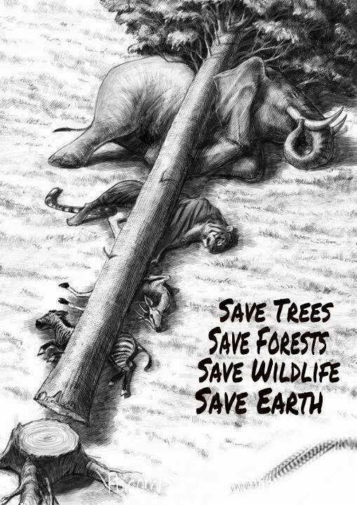 TELUGU WEB WORLD: SAVE TREES - SAVE FORESTS - SAVE WILD LIFE - SAVE EARTY
