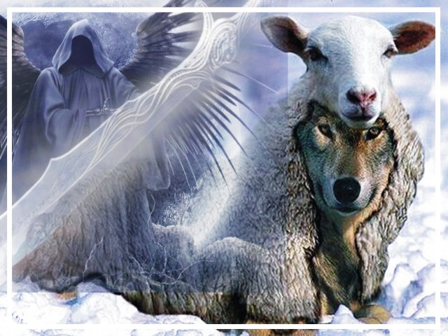 inspirações conduzidas por letras: Lobos na pele de carneiro X carneiro ...