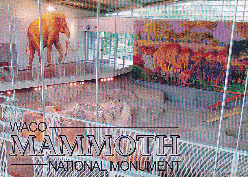 Postcard A La Carte 2: Texas - Waco Mammoth National Monument