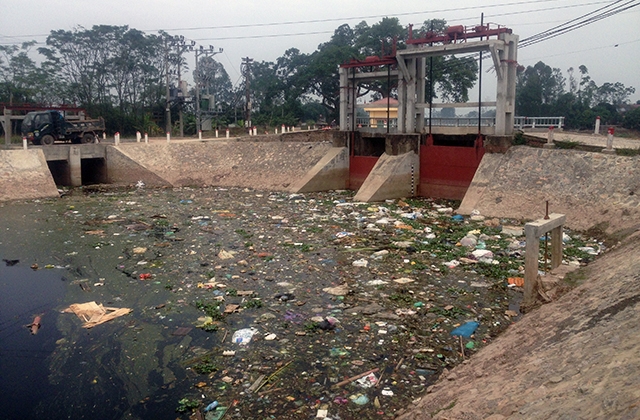 Alert the environmental pollution of Bac Hung Hai river | Green Trees ...