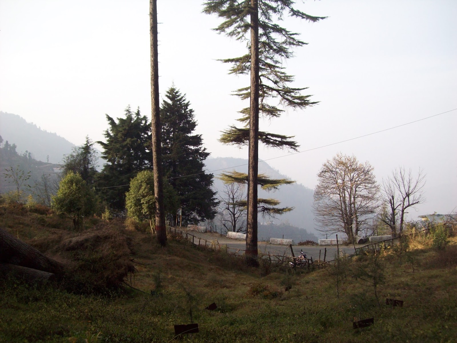 CHINAR SHADE : PHOTOGRAPHS OF A RECENT VISIT TO MUSSOORIE AND DHANAULTI ...