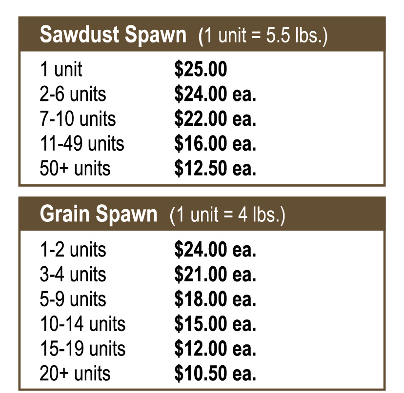 Mushrooming Together