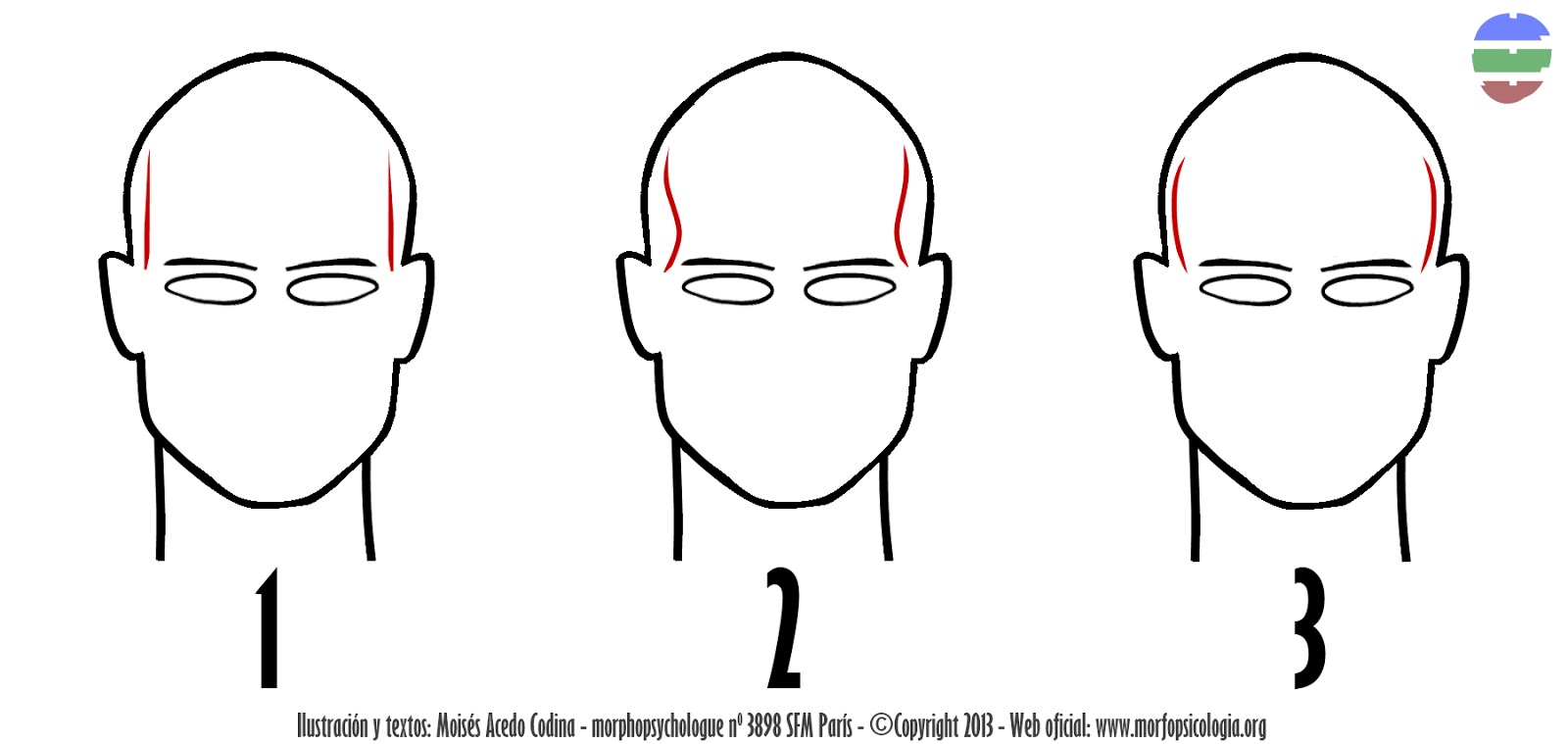 BLOGGER WWW.MORFOPSICOLOGIA.ORG: LAS SIENES Y SU SIGNIFICADO