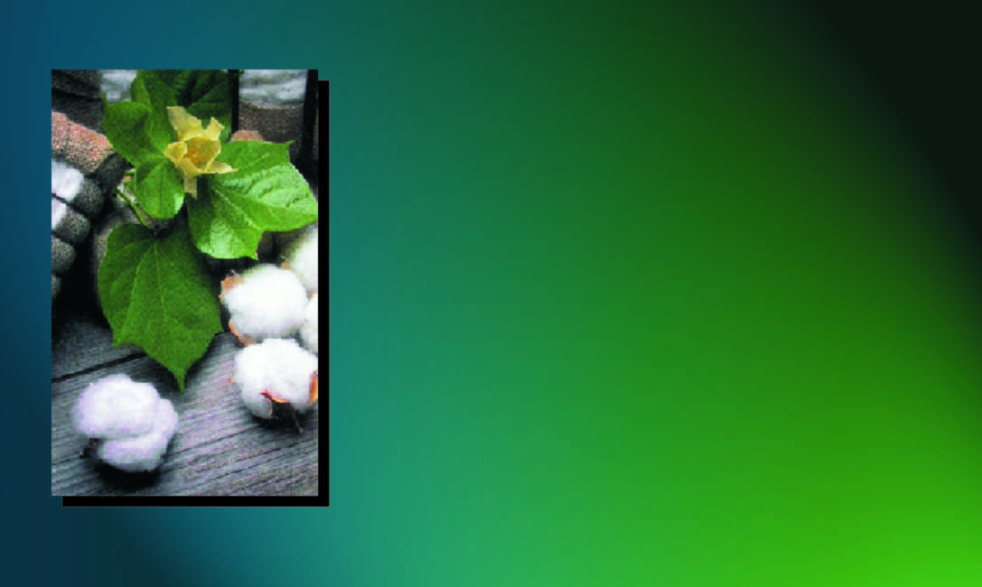 ALL-IN-ONE WALLPAPERS: Fertilizer Visiting Cards Simple