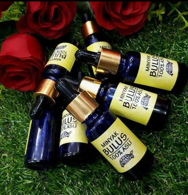 MINYAK BULUS 100% ASLI MURAH | Harga Murah Original cikza beauty shop