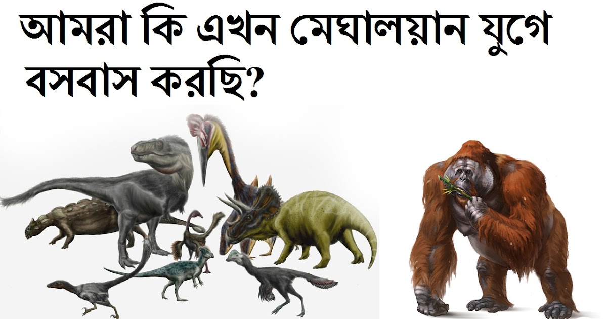 আমরা কি মেঘালয়ান যুগে বসবাস করছি? । What is Meghalayan Age?