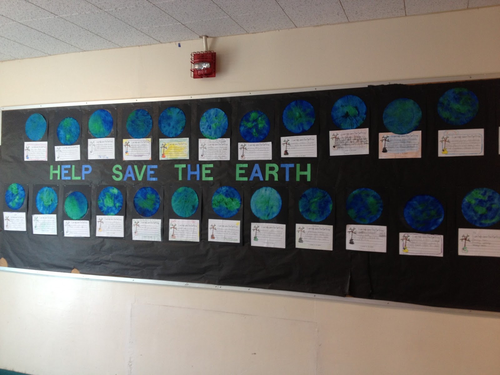 Ms. Wu Teaches: How to Help Save the Earth