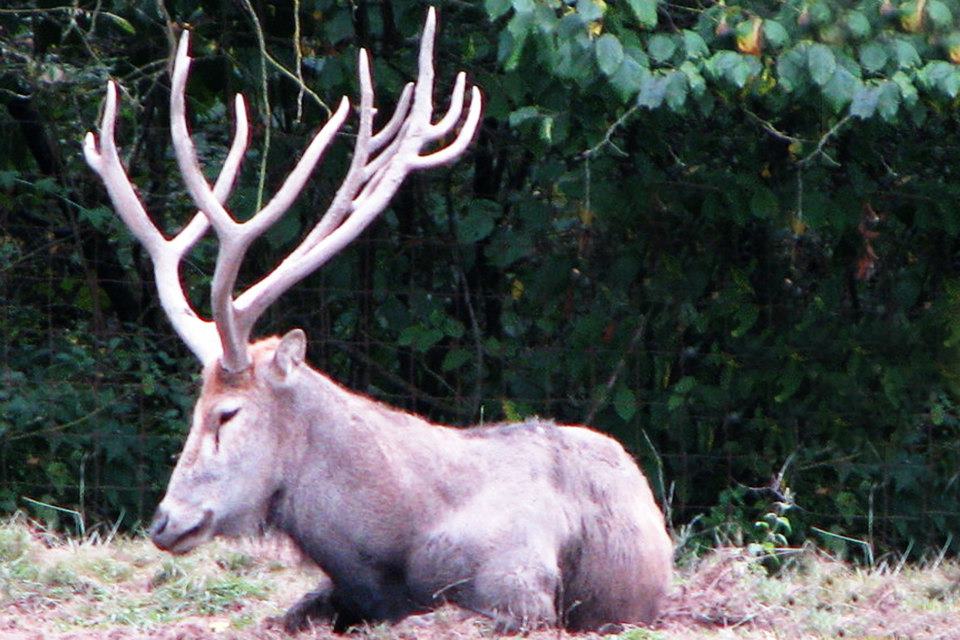 Natureza, Perfeição sem tamanho...