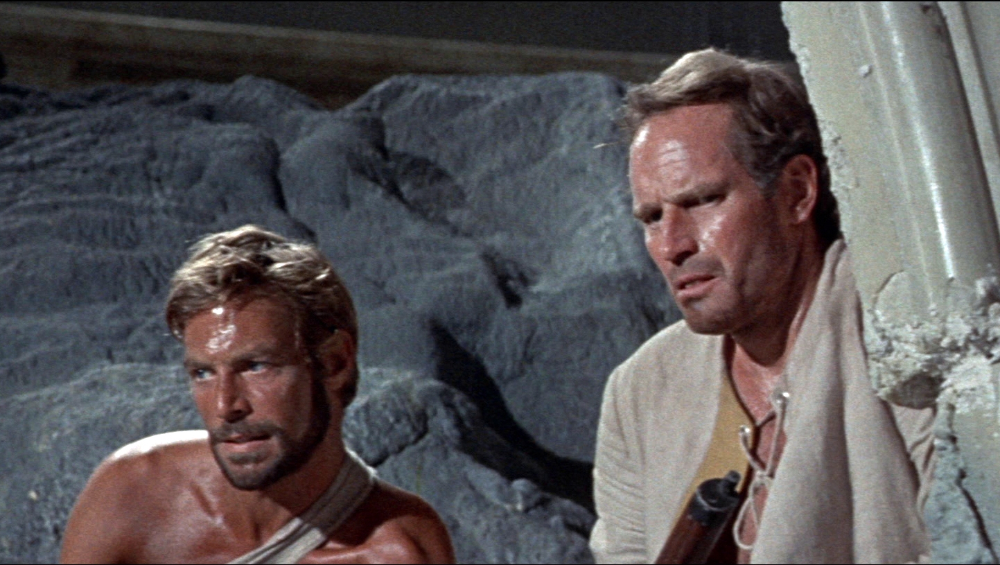 Tube Dreams: Planet of the Abs