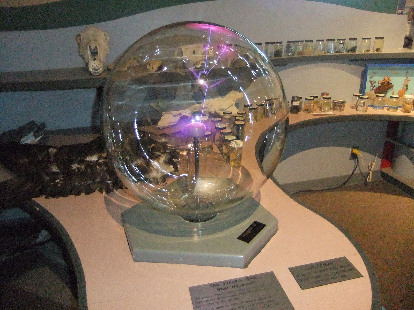 Island Rustic: A look back... Prince George Museum