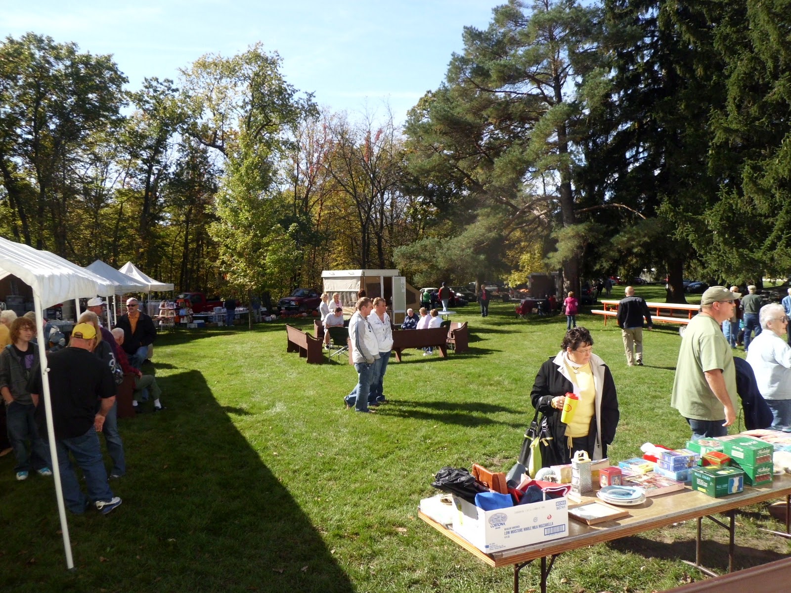 10 Day Give Day 2 - Lima Leaf Day - Sincerely Stacie