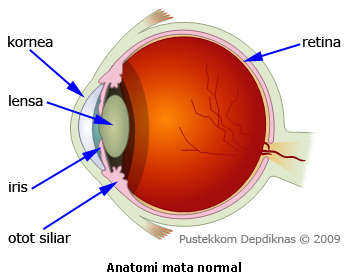 Alat-alat Optik - BELAJAR KURIKULUM 2013