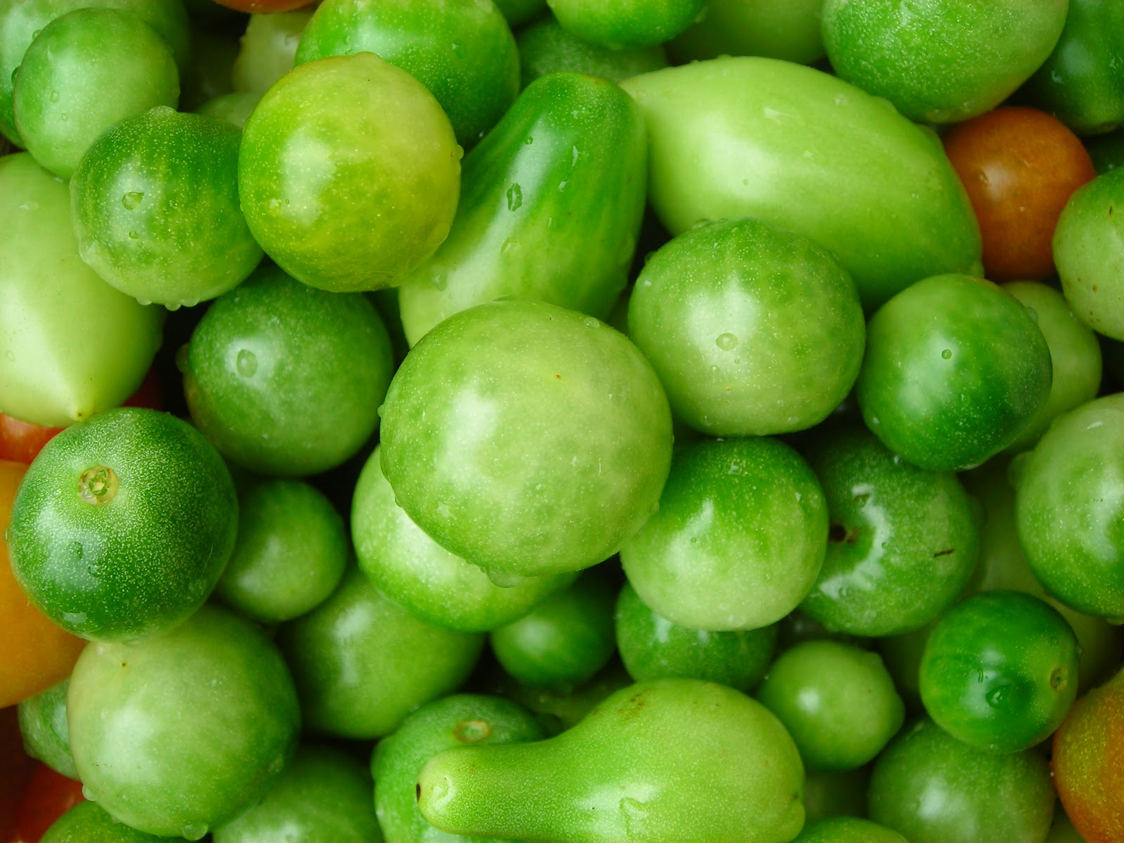 PASSION ON THE STOVE TOP: Pickled Tri-Color Beans, Okra, Green Cherry ...